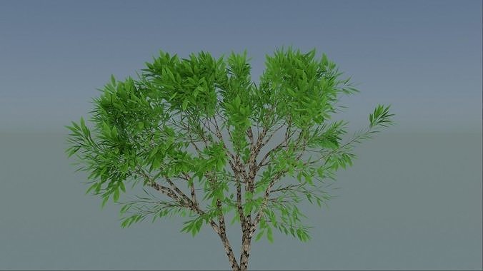 tree2 tree with leaves free 3D model animated rigged | CGTrader