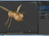 firefly 3D model animated rigged | CGTrader