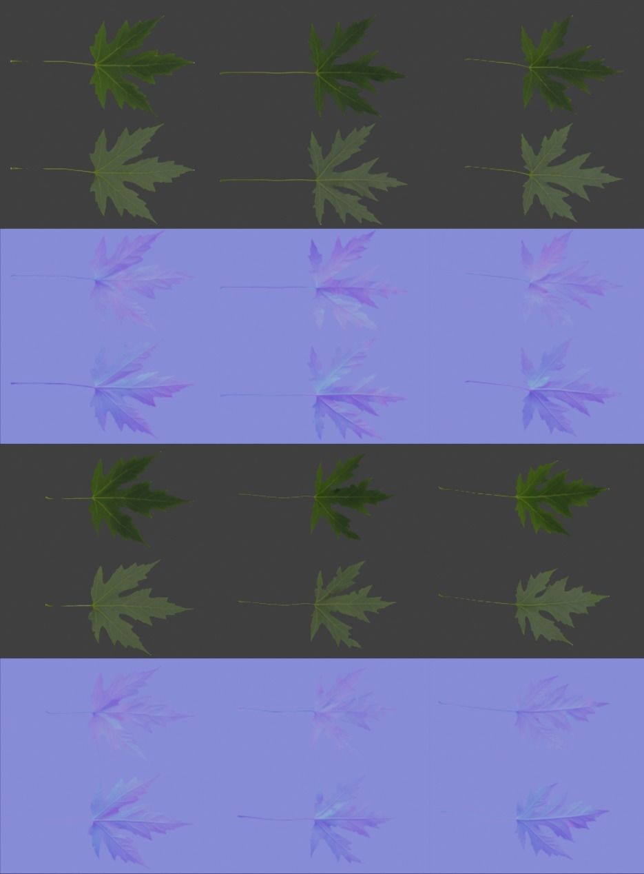 Maple 2 leaf 3D models 3D model | CGTrader