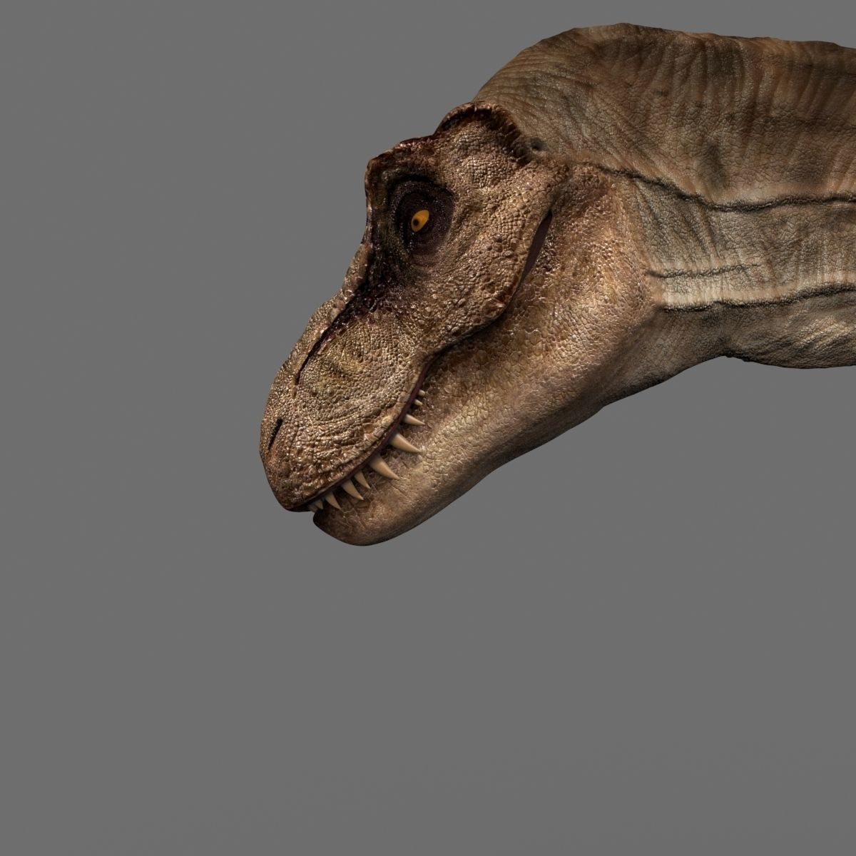 8K JP T REX 3D model animated rigged | CGTrader