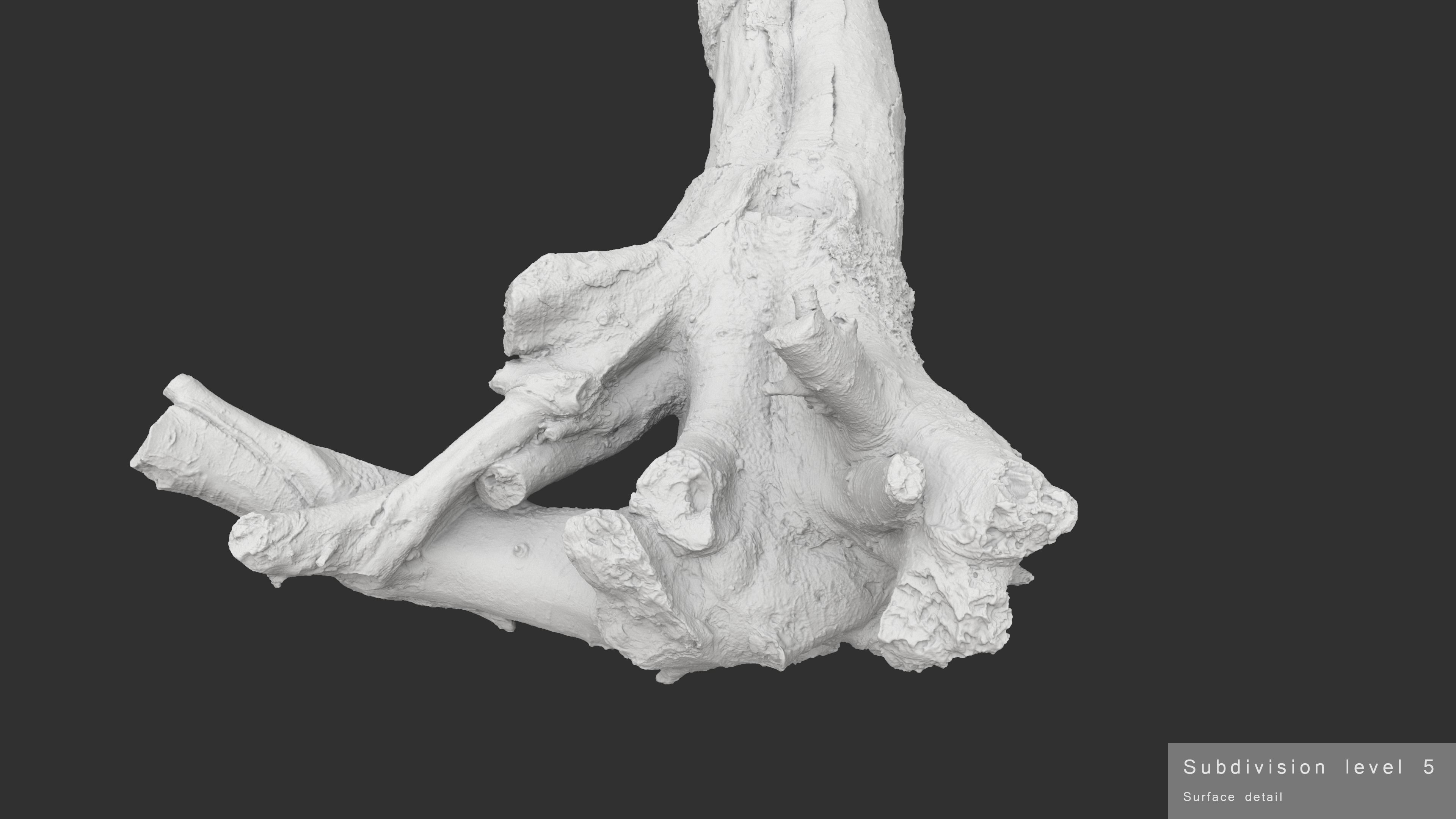 3D model Withered Broken Tree with Roots VR / AR / low-poly | CGTrader