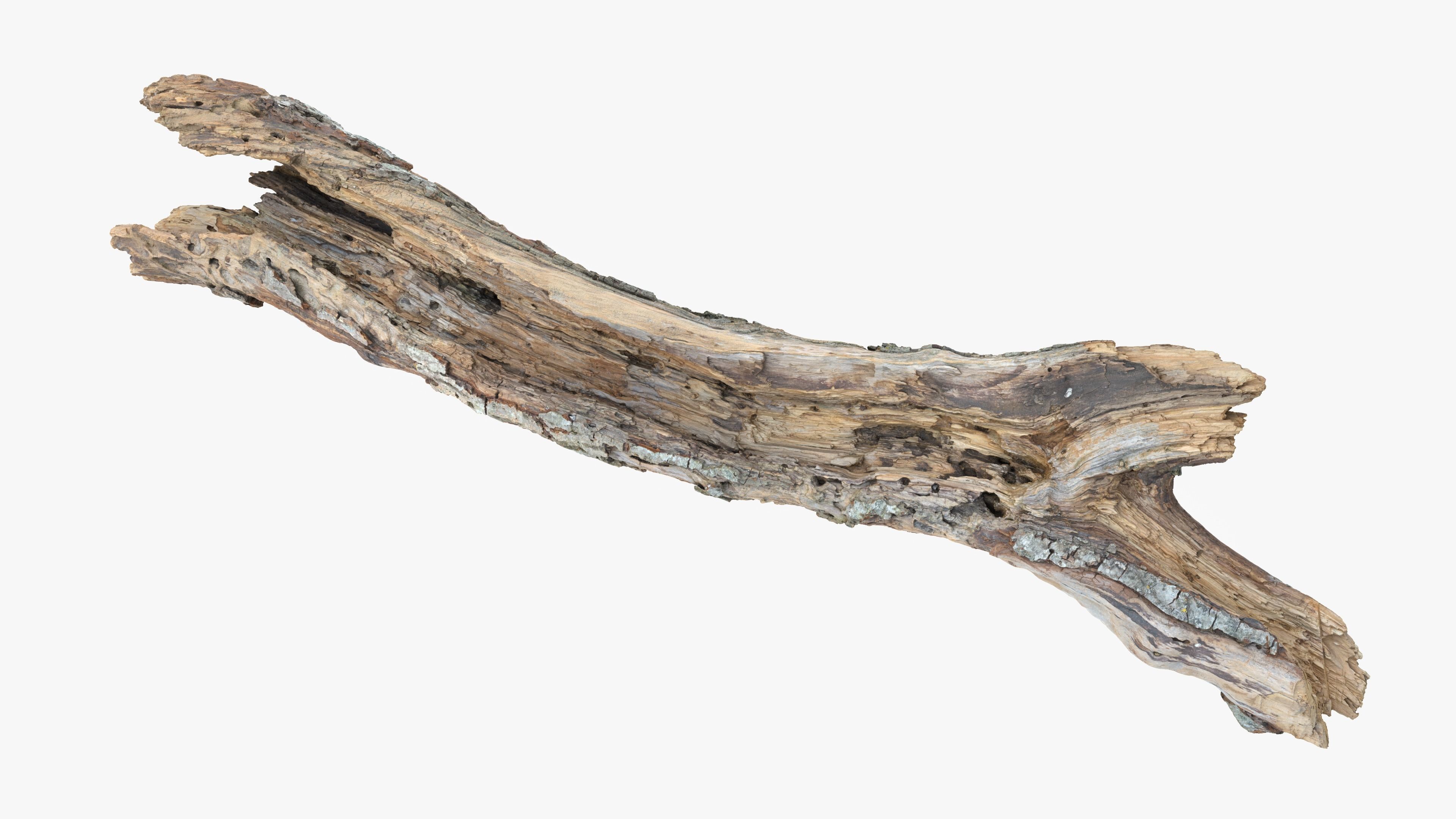 3D model Withered Tree Hide VR / AR / low-poly | CGTrader