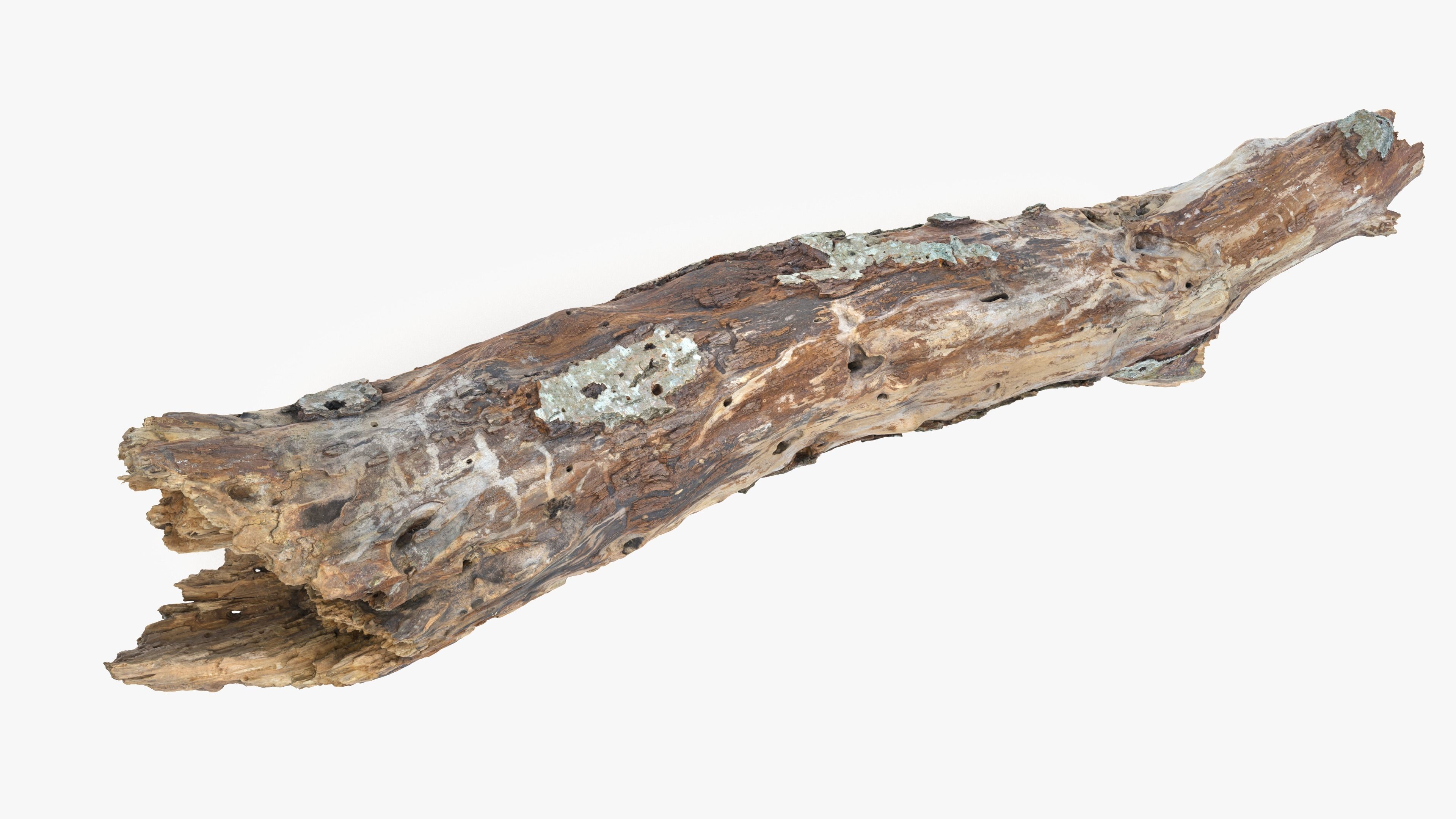 3D model Withered Tree Hide VR / AR / low-poly | CGTrader