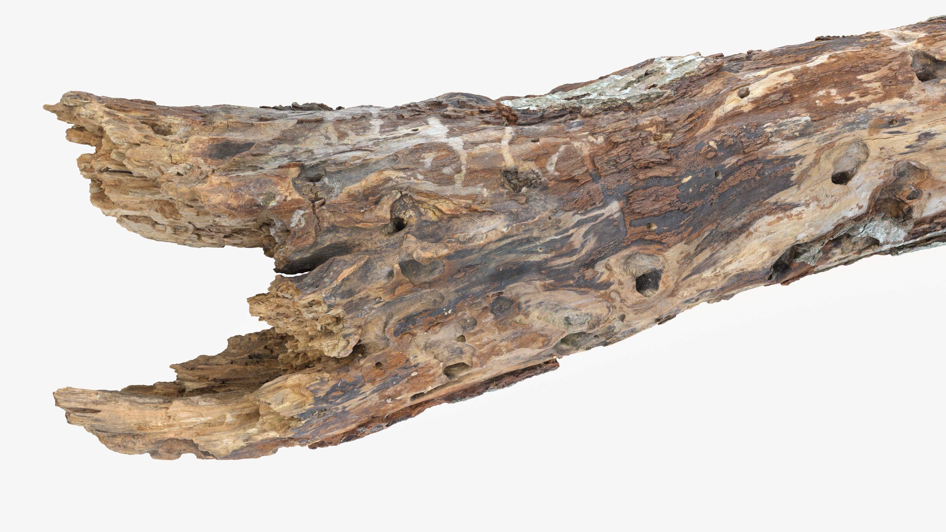 3D model Withered Tree Hide VR / AR / low-poly | CGTrader