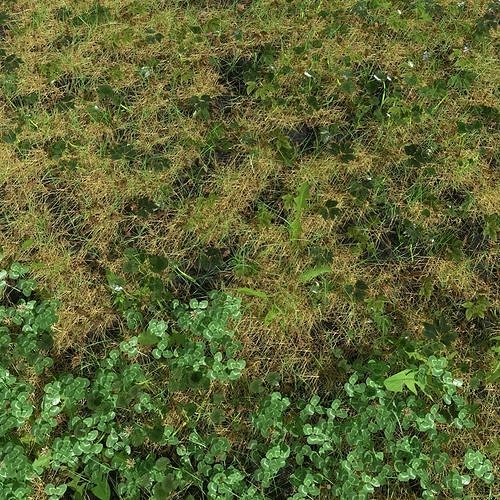 Ashweed Meadow Patch 3D model | CGTrader