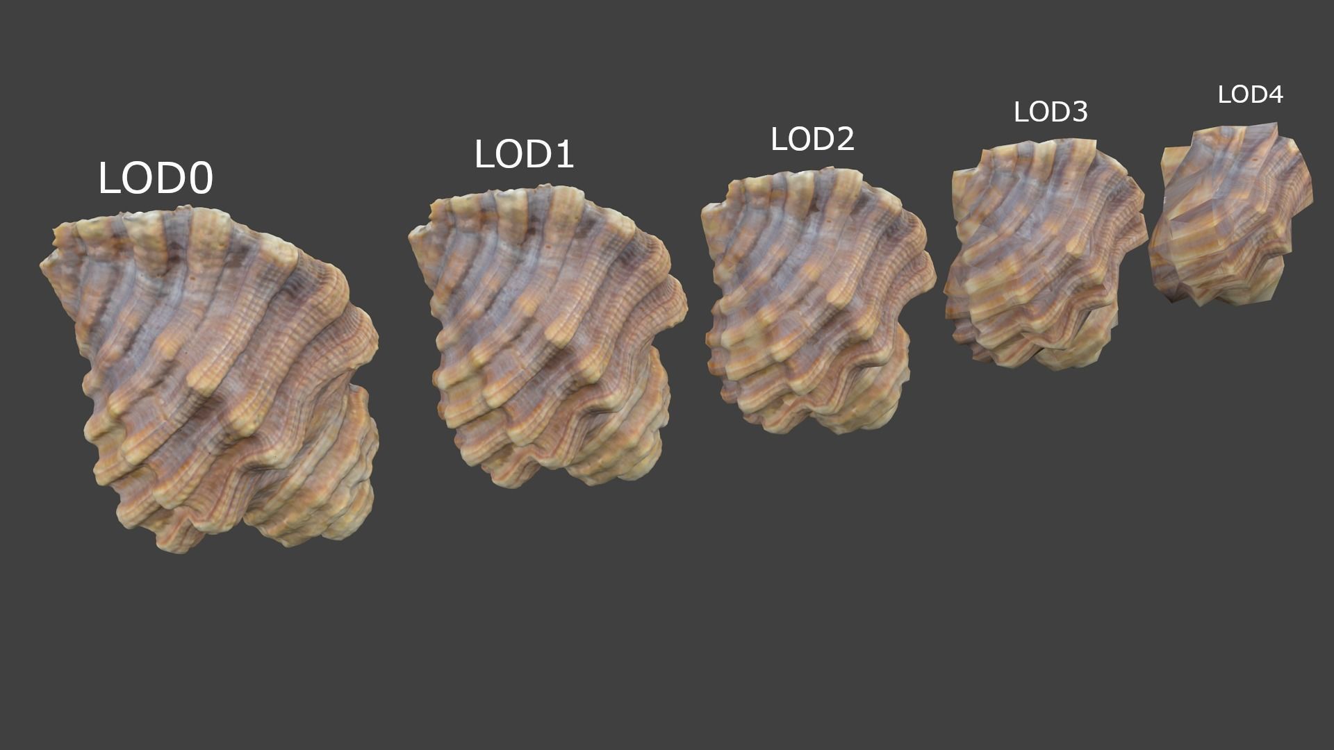 3D model Photoscanned Spiral Ridged Seashell VR / AR / low-poly | CGTrader