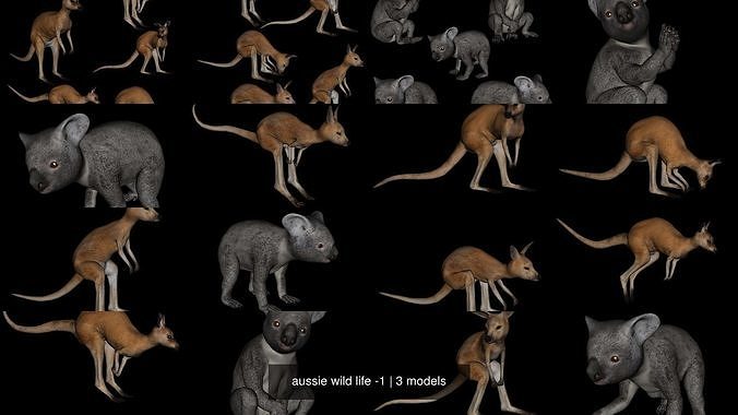 aussie wild life -1 3D Model Collection | CGTrader