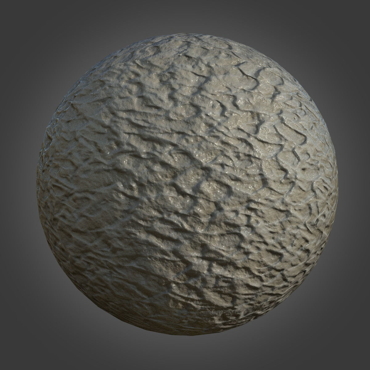 Set of 20 Various Sand PBR Textures Volume 1 Texture | CGTrader