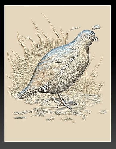 WHite Quail 2 - relief - 2020 3D model 3D printable | CGTrader
