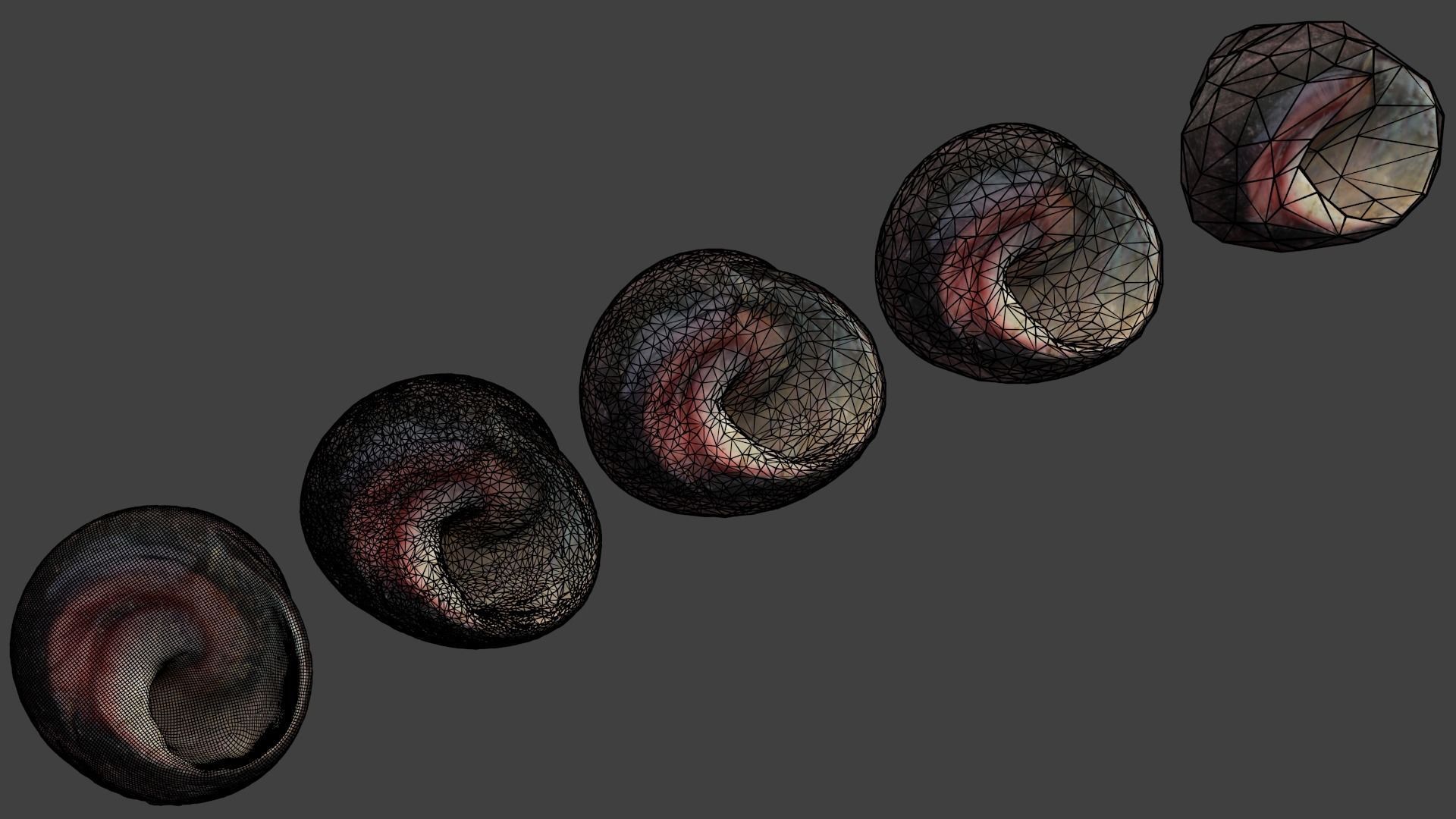 3D model Pink lipped topshell seashell photoscan VR / AR / low-poly ...