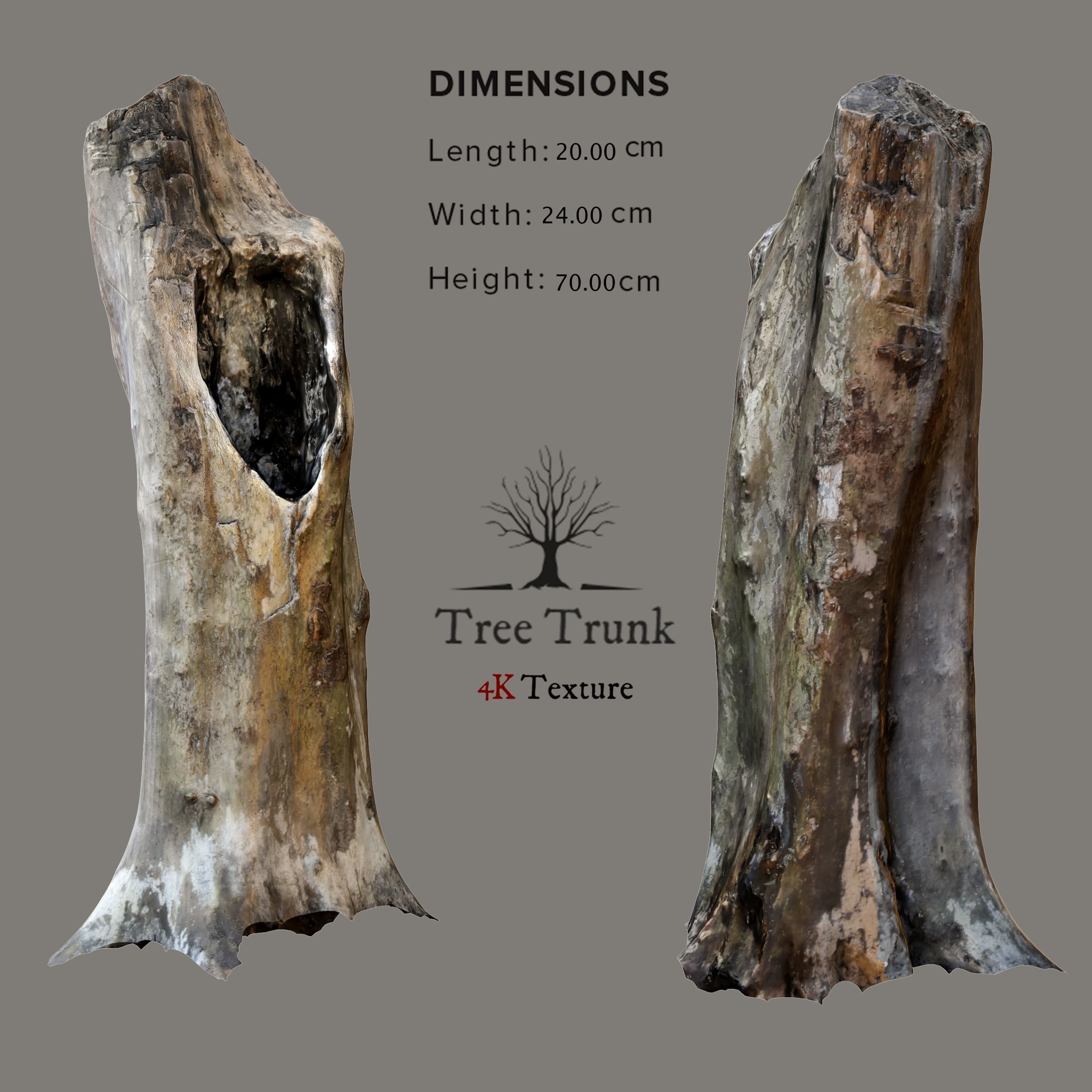 Tree trunks 3D model | CGTrader