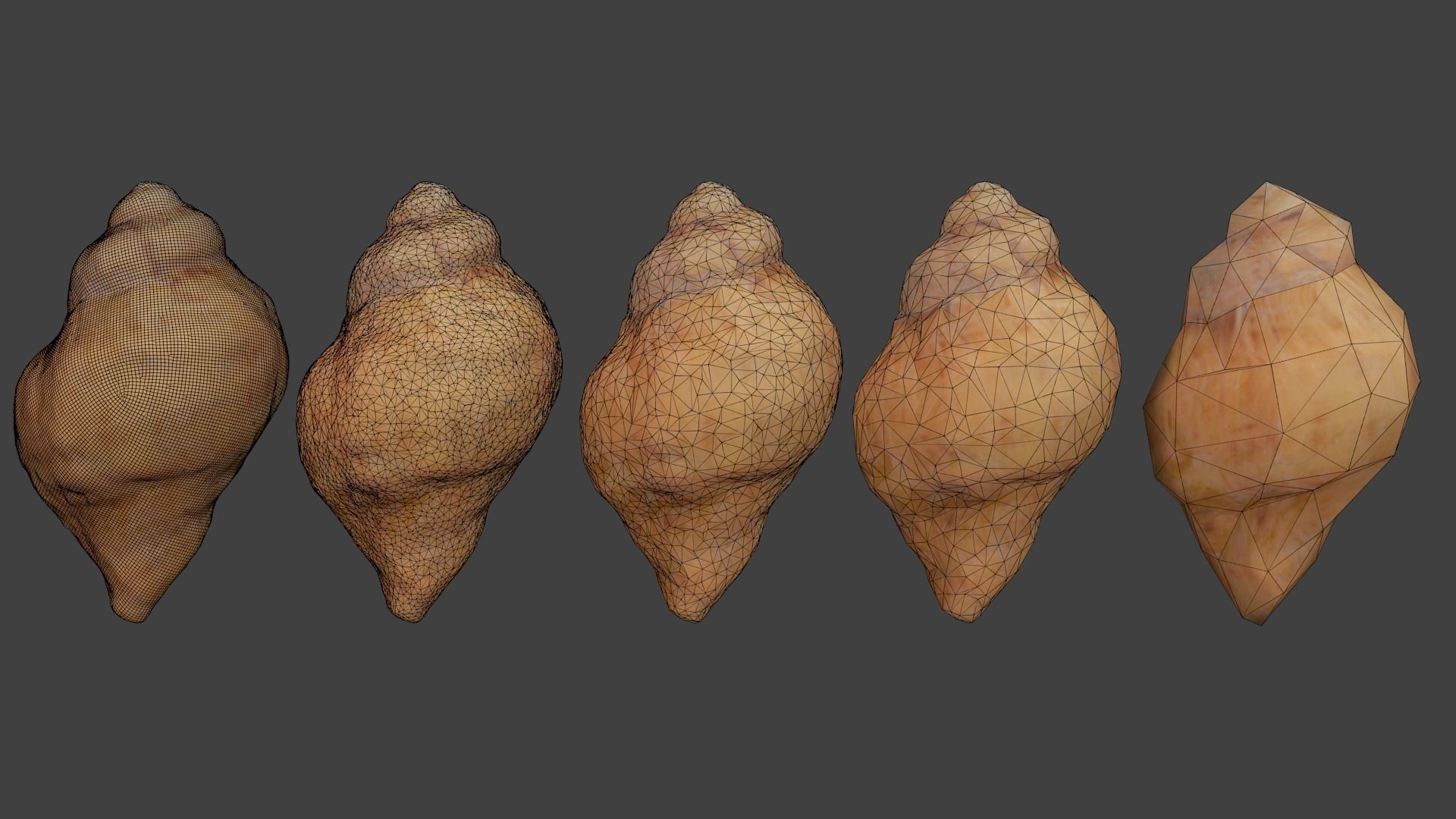 3D model Pointed Spiral Seashell Photoscan VR / AR / low-poly | CGTrader