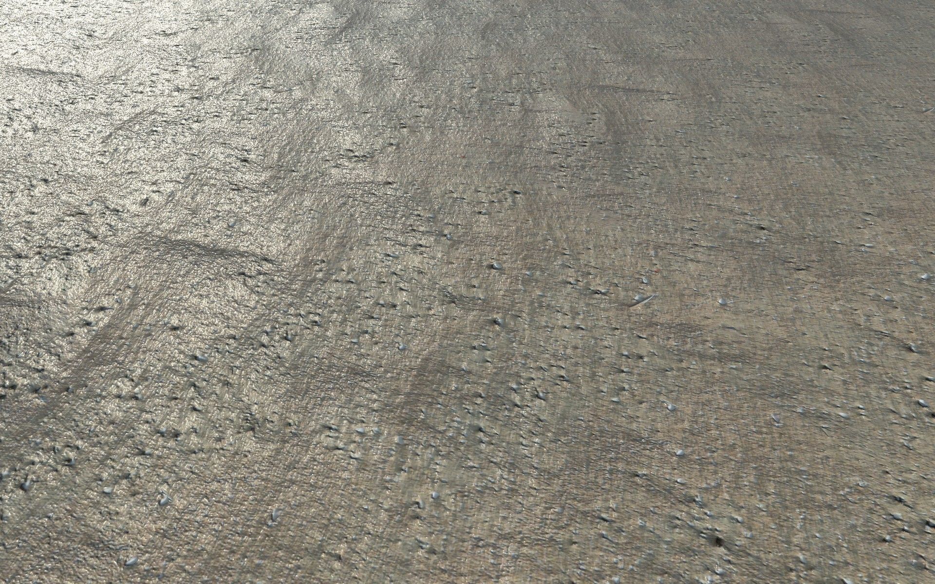 Set of 20 Various Sand PBR Textures Volume 2 Texture | CGTrader