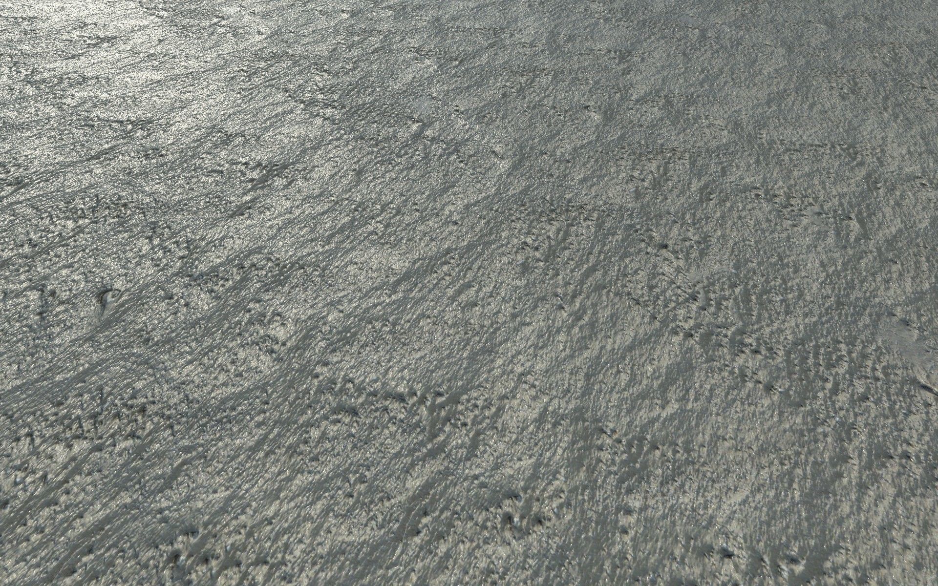 Set of 20 Various Sand PBR Textures Volume 2 Texture | CGTrader