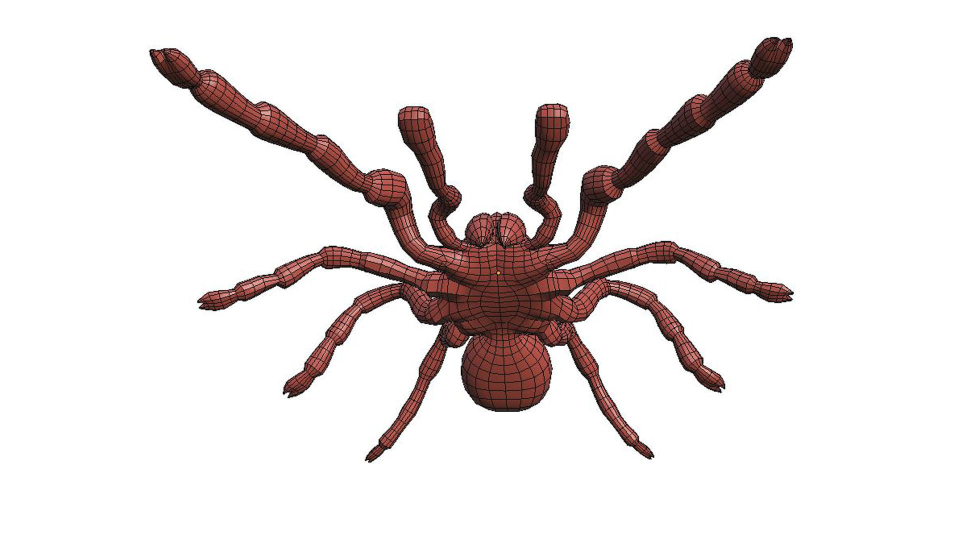 Tarantula low poly spider 3D model | CGTrader