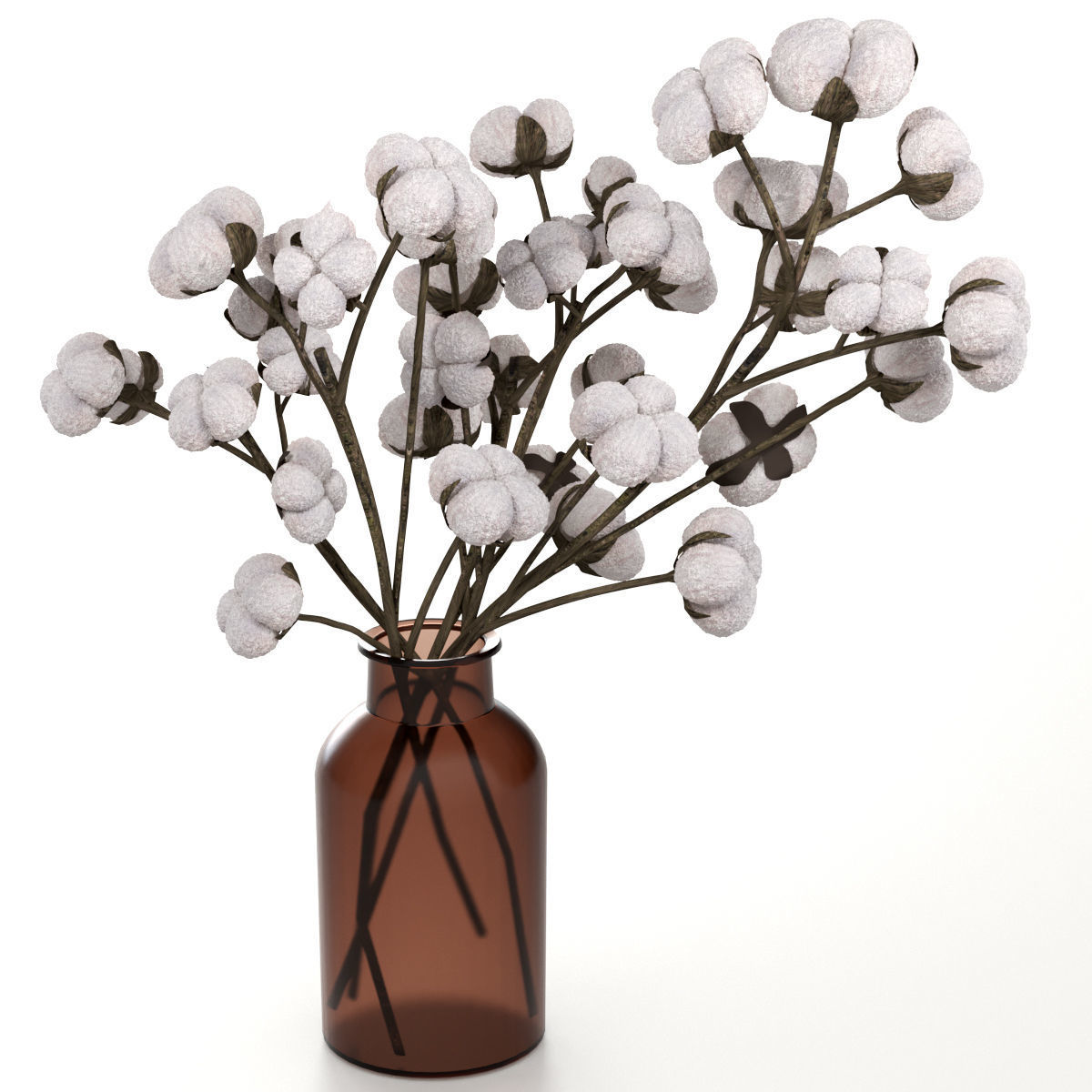 Dried cotton 3D model | CGTrader