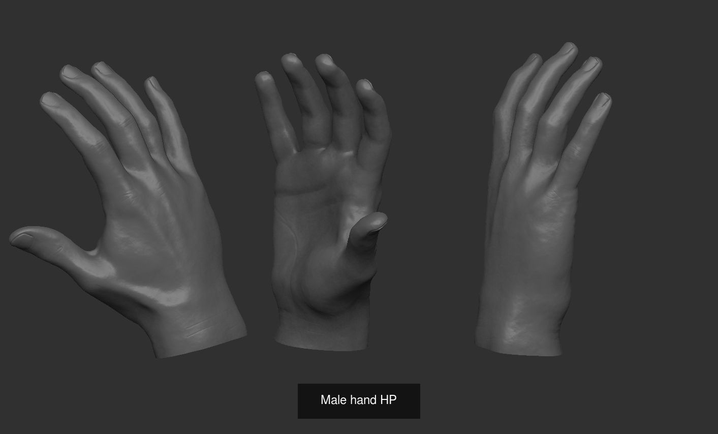 High poly models pack 3D Model Collection | CGTrader