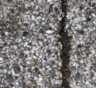 Park tile texture 03 Texture | CGTrader