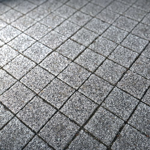 Park tile texture 03 Texture | CGTrader