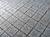Park tile texture 03 Texture | CGTrader