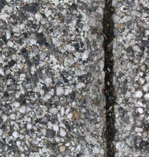 Park tile texture 03 Texture | CGTrader