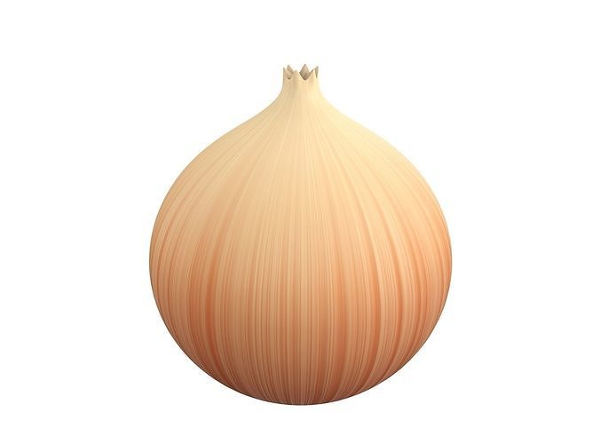 3D model Onion VR / AR / low-poly | CGTrader