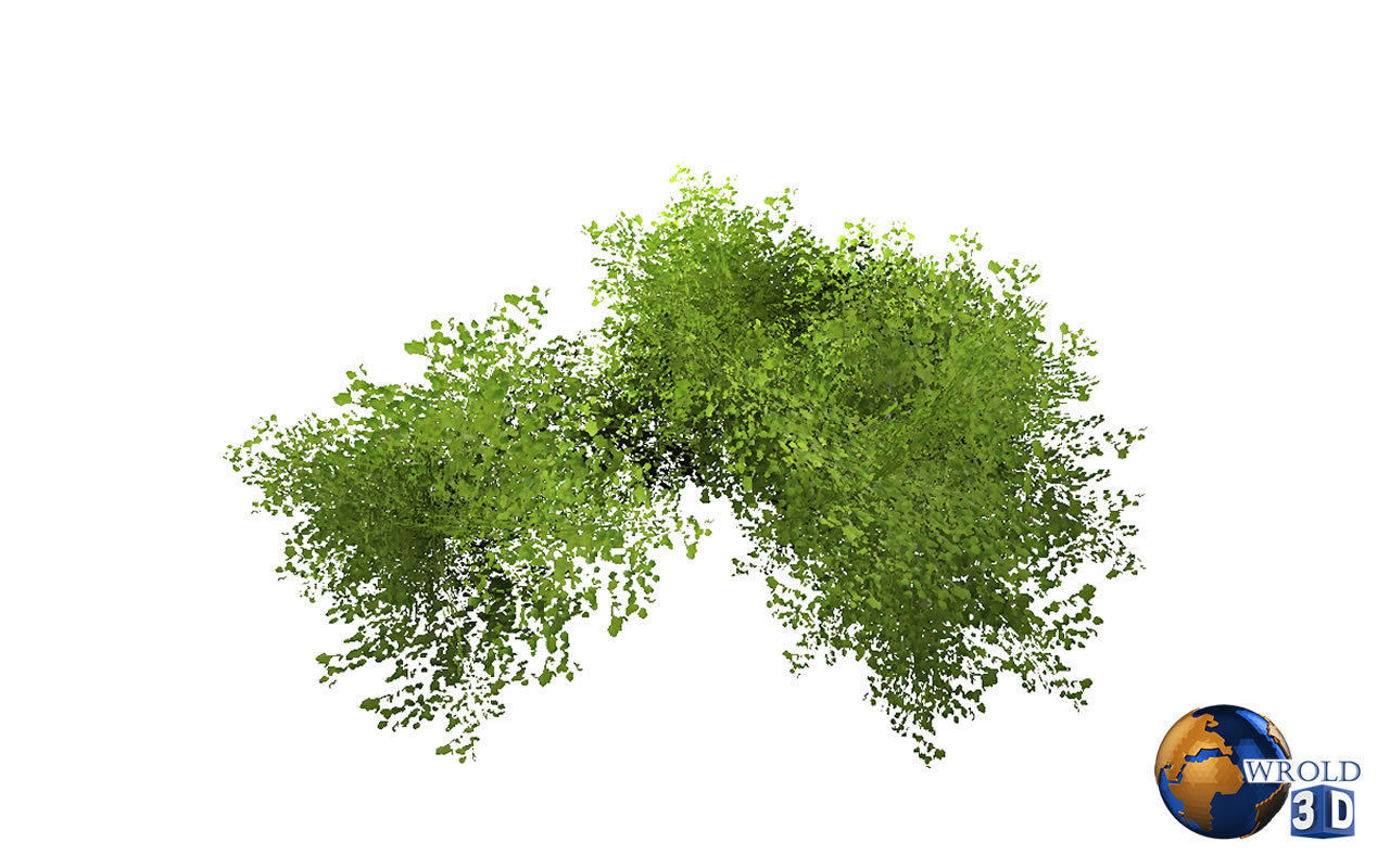 3D model Natural Forest Bush Collection Pack Lowpoly 3D Model VR / AR ...