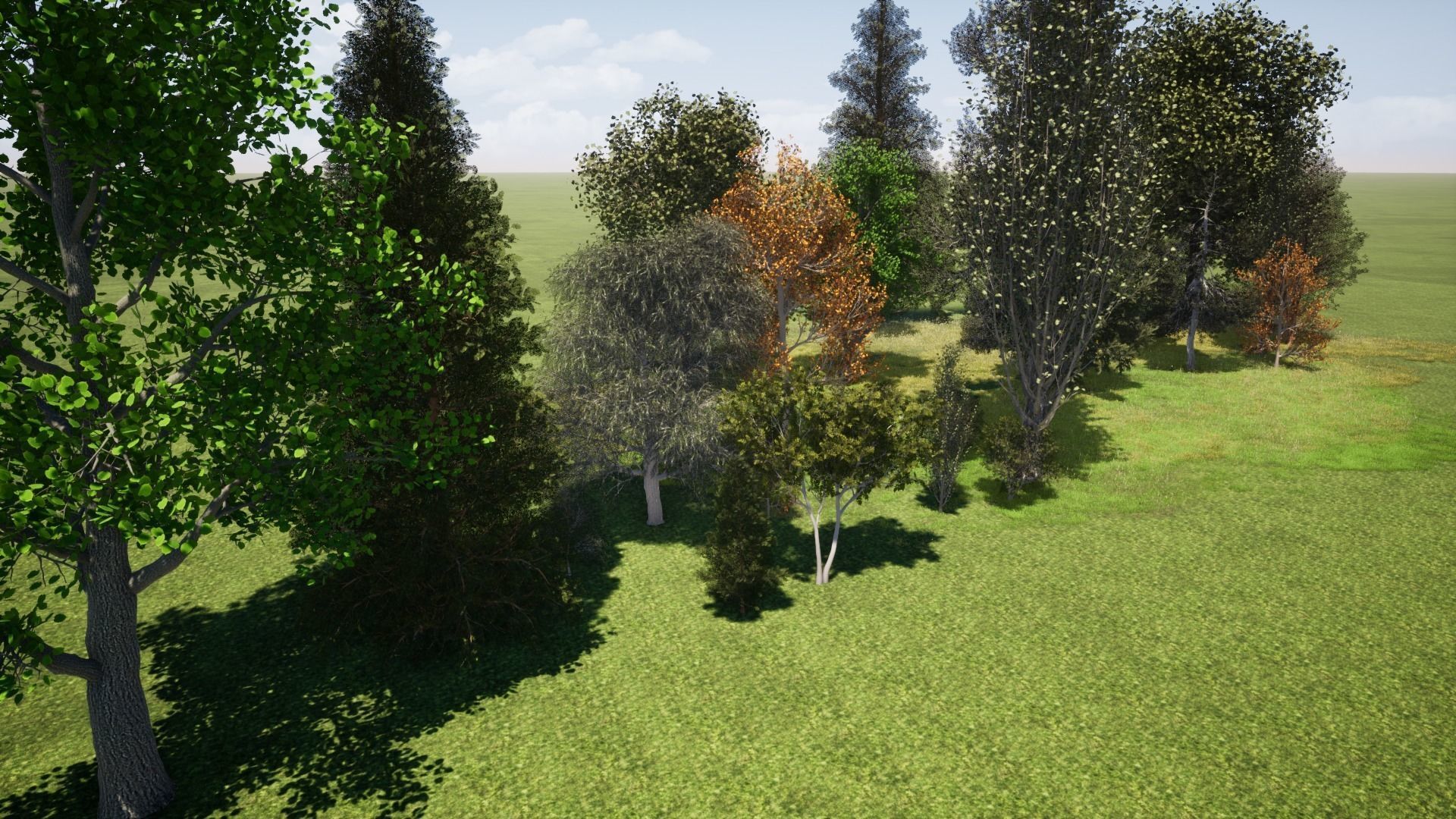 Very realistic 3d Trees collection for VR / AR ready 2