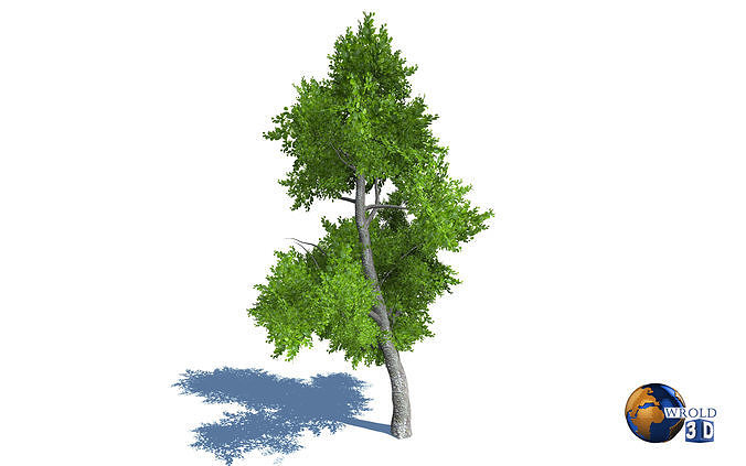 3D model Tree Nature Forest Environment 3d model VR / AR / low-poly ...
