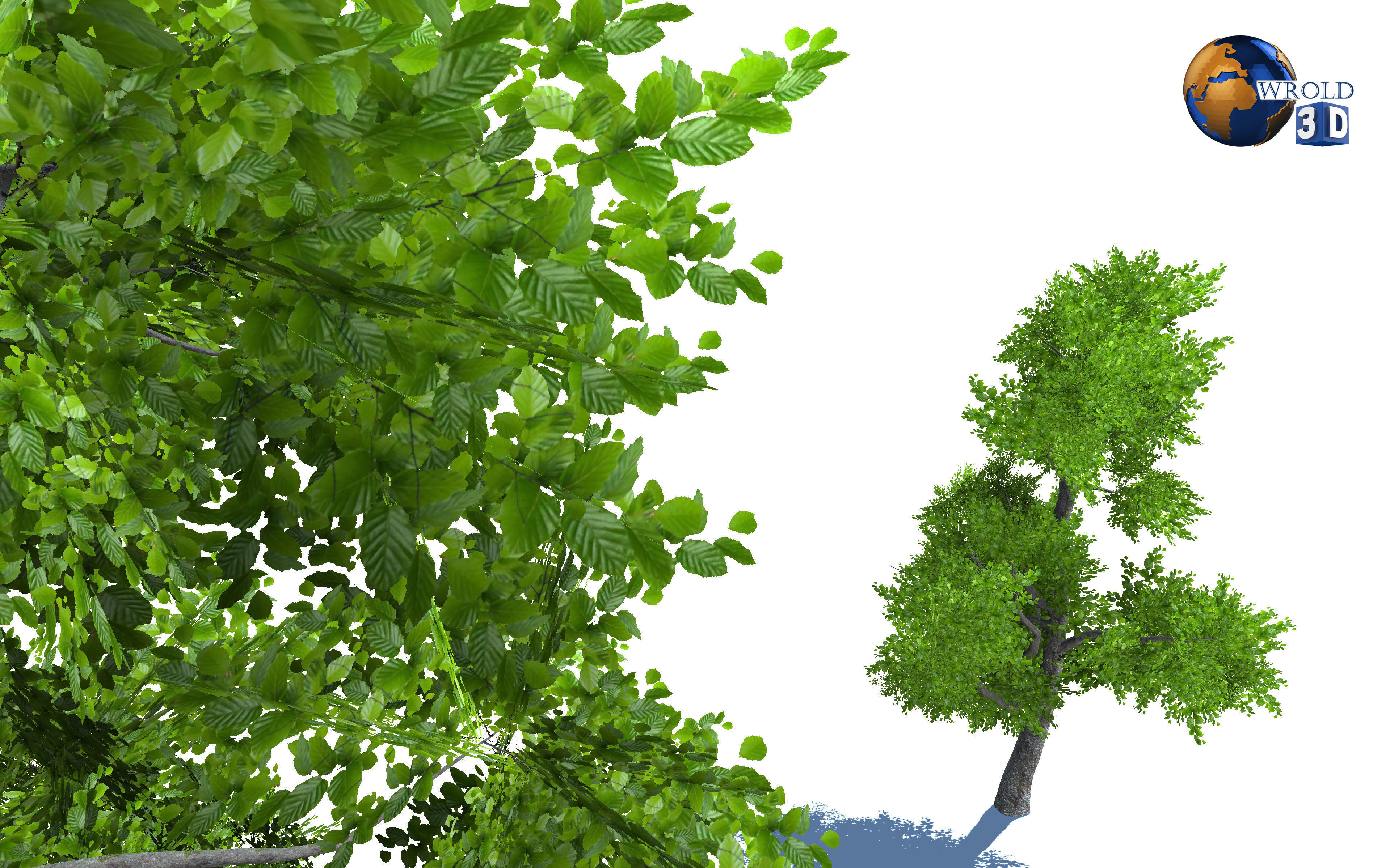 3D model Tree Nature Forest Environment 3d model VR / AR / low-poly ...