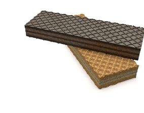 Wafer 3D Models | CGTrader