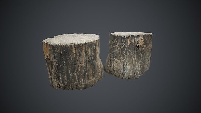 3D model Wood Stump 1 PBR Game Ready VR / AR / low-poly | CGTrader