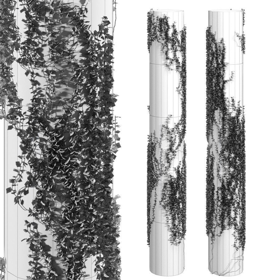Ivy winding on a pillar 3D model | CGTrader