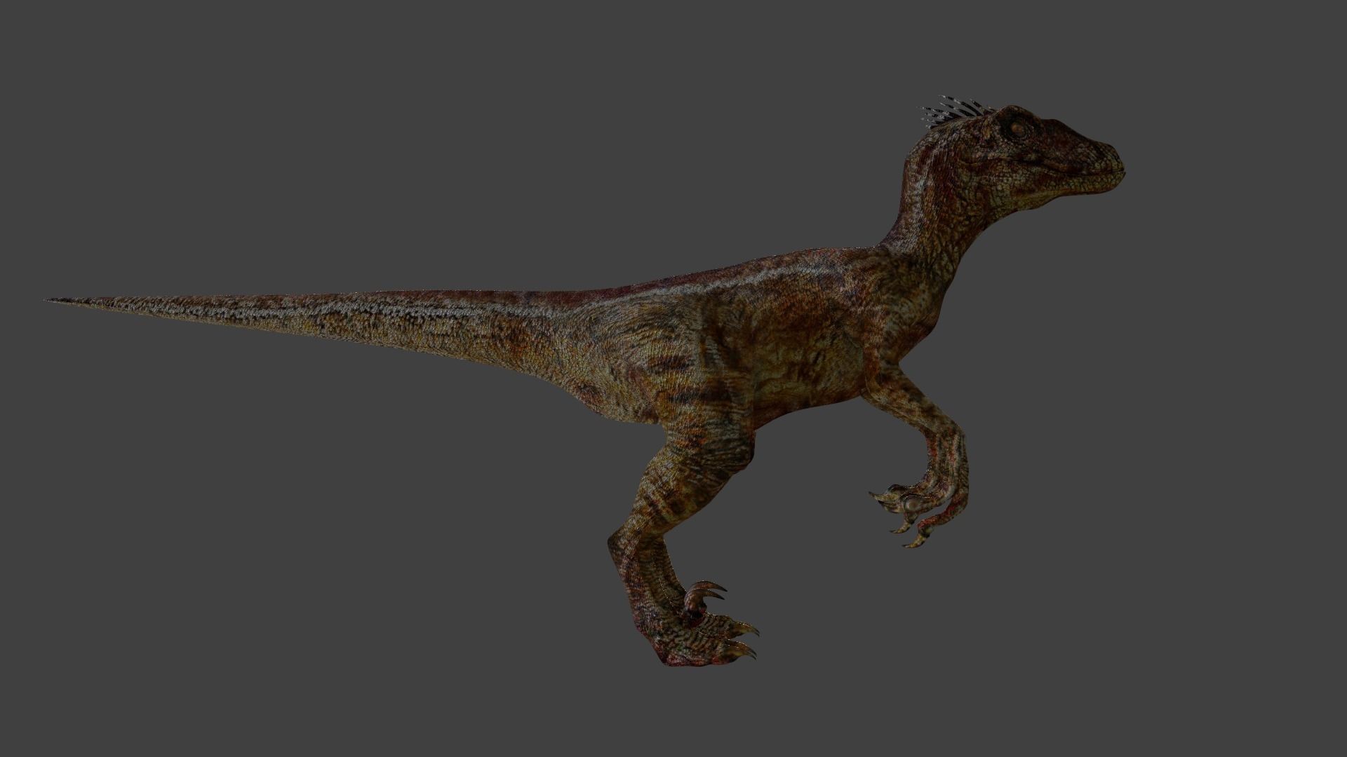 Velociraptor free VR / AR / low-poly 3D model rigged | CGTrader