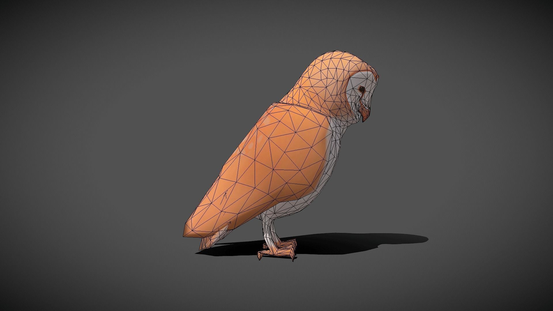 3D model Low poly Barn Owl - Idle Animated VR / AR / low-poly rigged ...