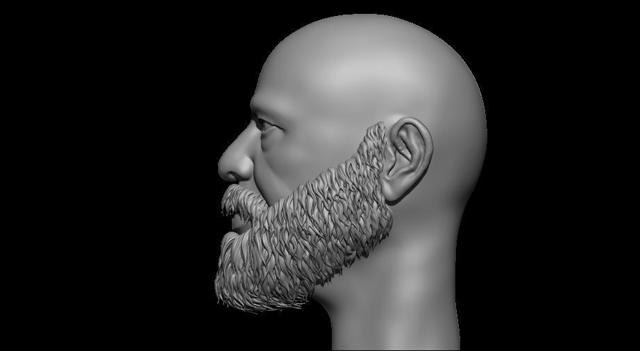 Beard 3D model | CGTrader