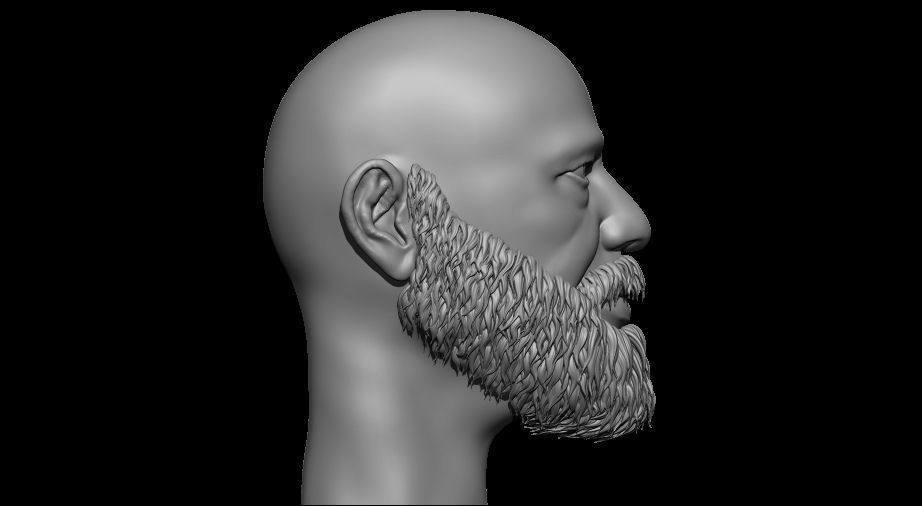 Beard 3D model | CGTrader