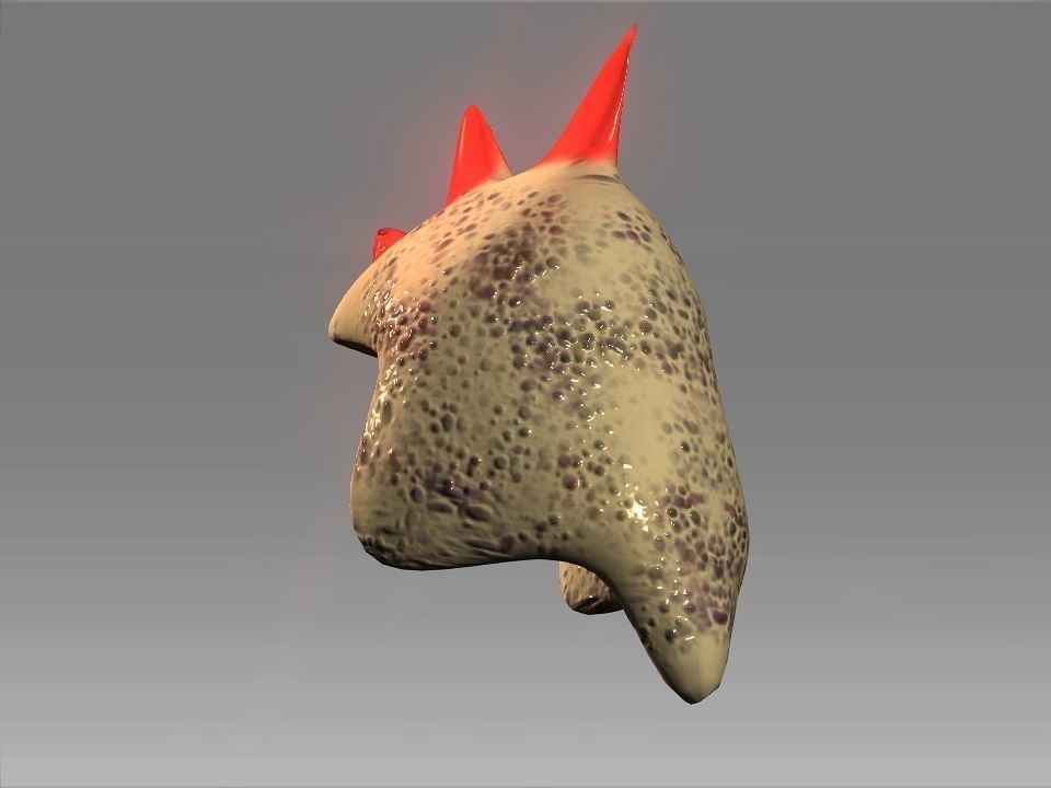 3D model Desert Giant Lizard Helmet VR / AR / low-poly | CGTrader