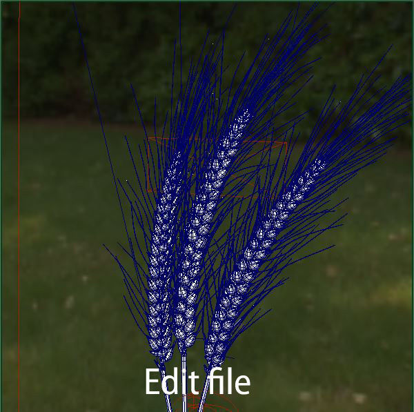 3D model Barley wheat VR / AR / low-poly | CGTrader