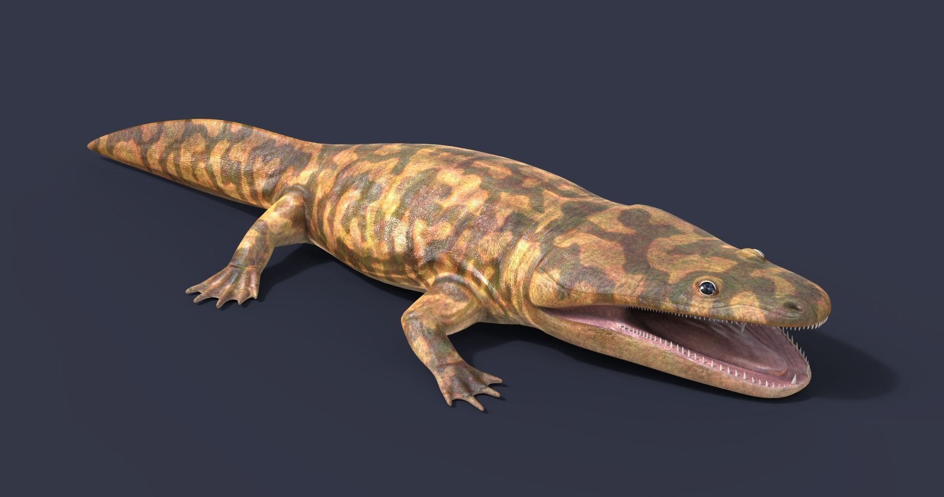 Metoposaurus alligator 3D model | CGTrader