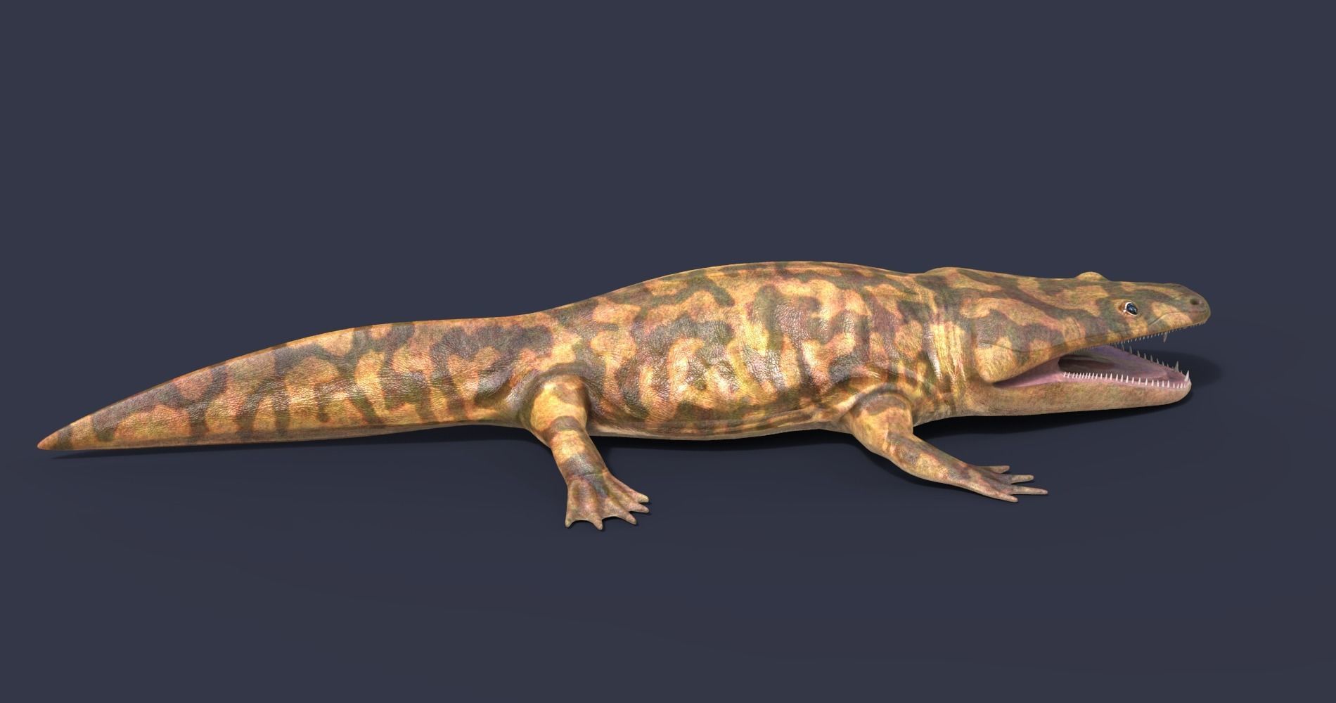 Metoposaurus 3D model | CGTrader