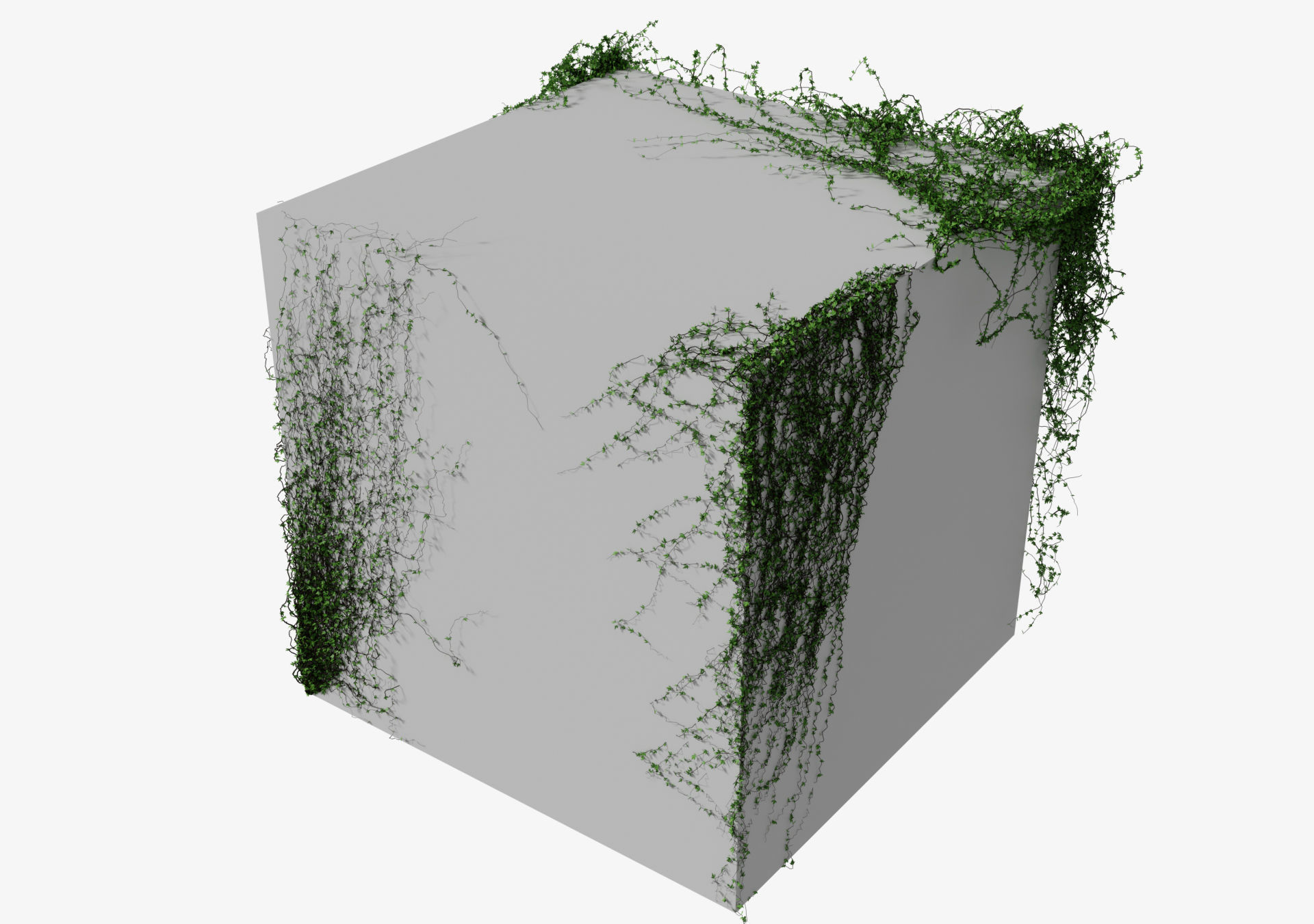 Columns with ivy 3D model | CGTrader