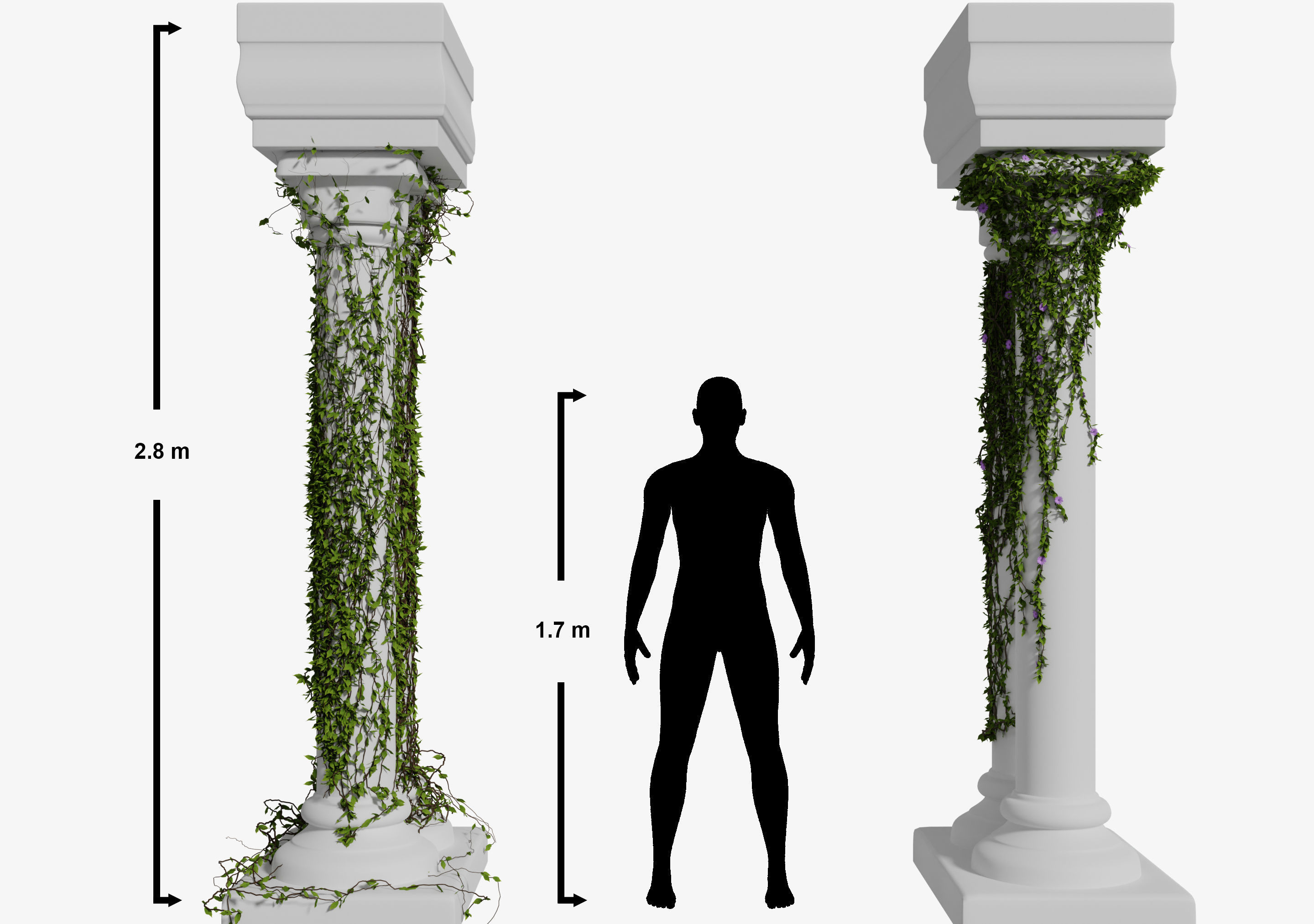 Columns with ivy 3D model | CGTrader