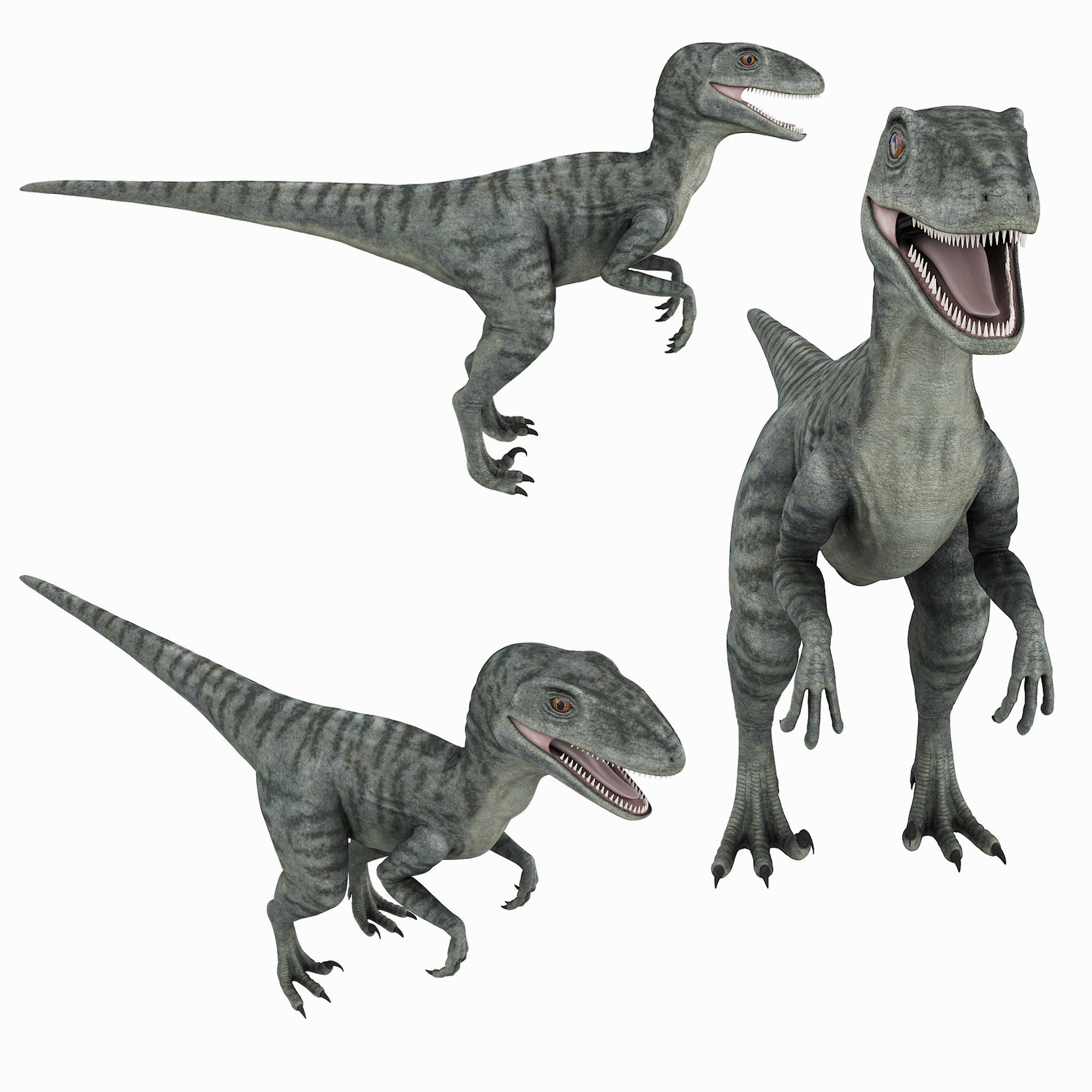 Velociraptor 3D model | CGTrader