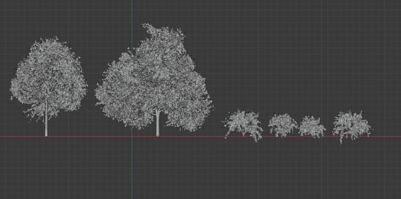 European Beech 3d Model free 3D model | CGTrader