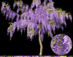 Wisteria 3D Models | CGTrader