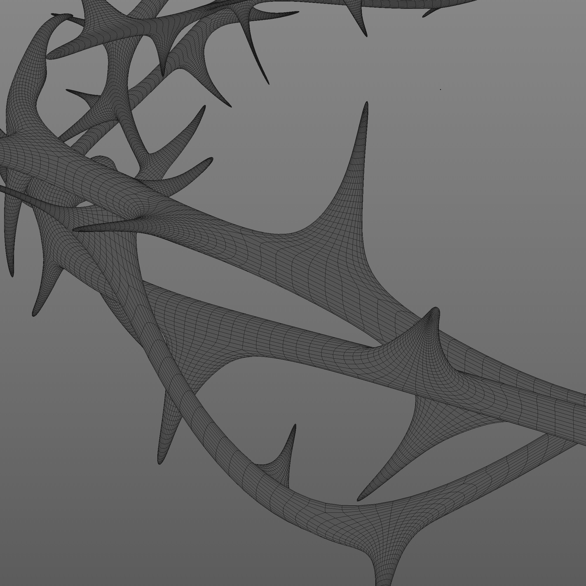 Crown of thorns 3D model | CGTrader
