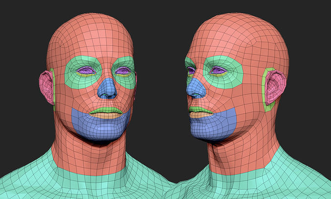 Low Poly Face Topology