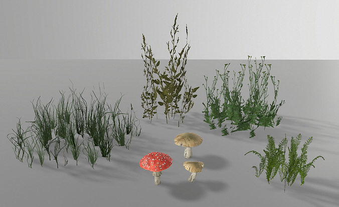 3D model Forest plants VR / AR / low-poly | CGTrader