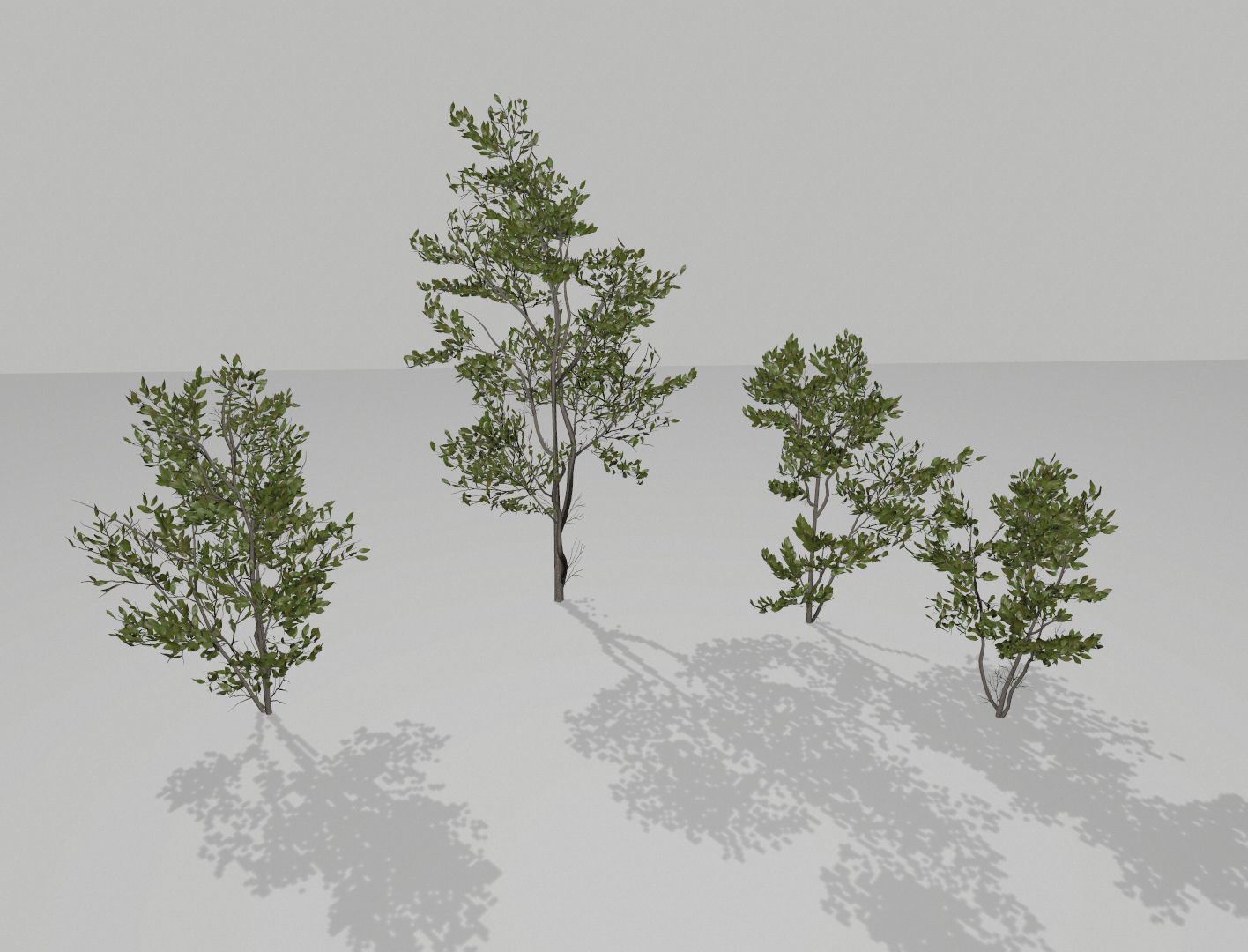 3D model Little trees VR / AR / low-poly | CGTrader